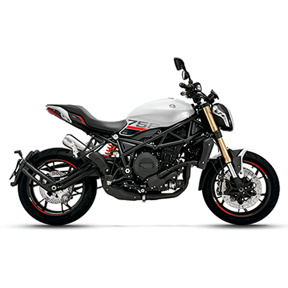 BENELLI 752S EURO5 - BN65#2704 | B2B Multimoto